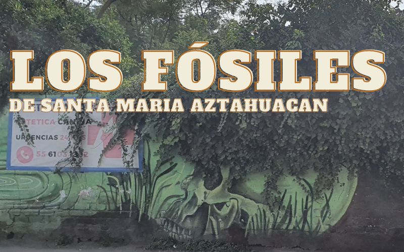 Fósiles de Aztahuacán - Santa María Aztahuacan - Pueblo Originario de ...