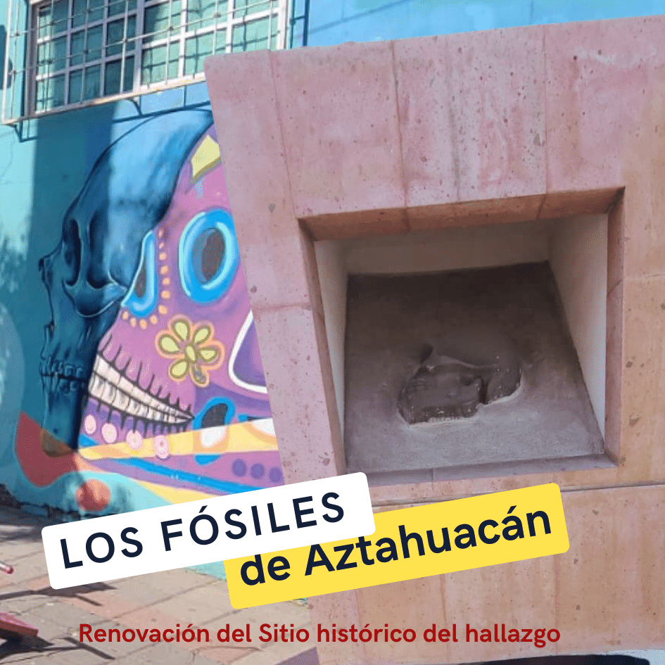 El nuevo pilar conmemorativo del hallazgo de fósiles de homo sapiens en ...